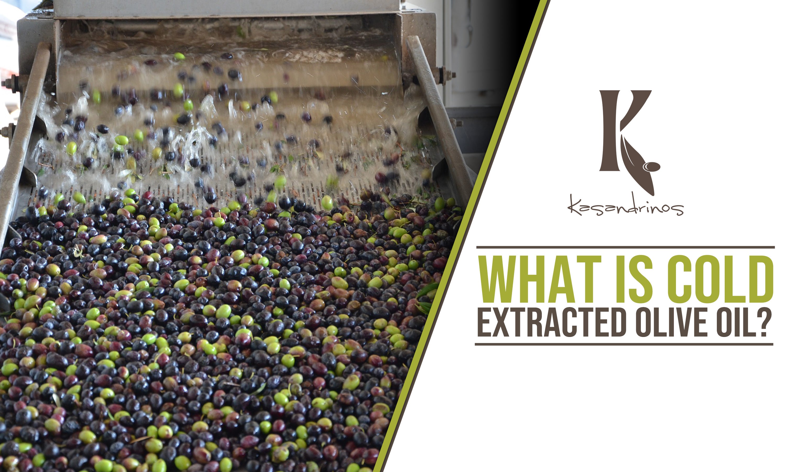 What is Cold Extracted Olive Oil? – Kasandrinos International